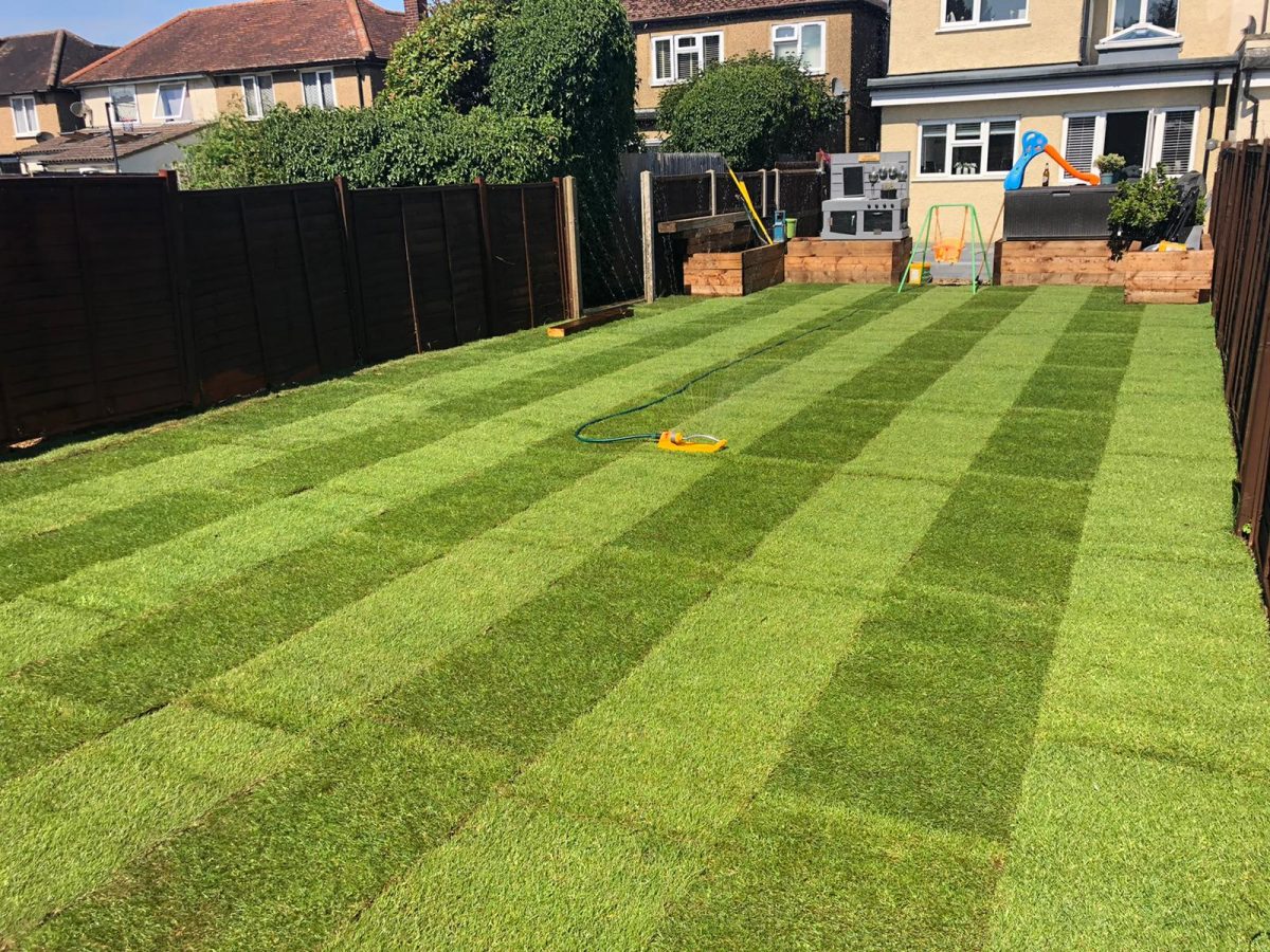 Turfing - Green Life Landscapes